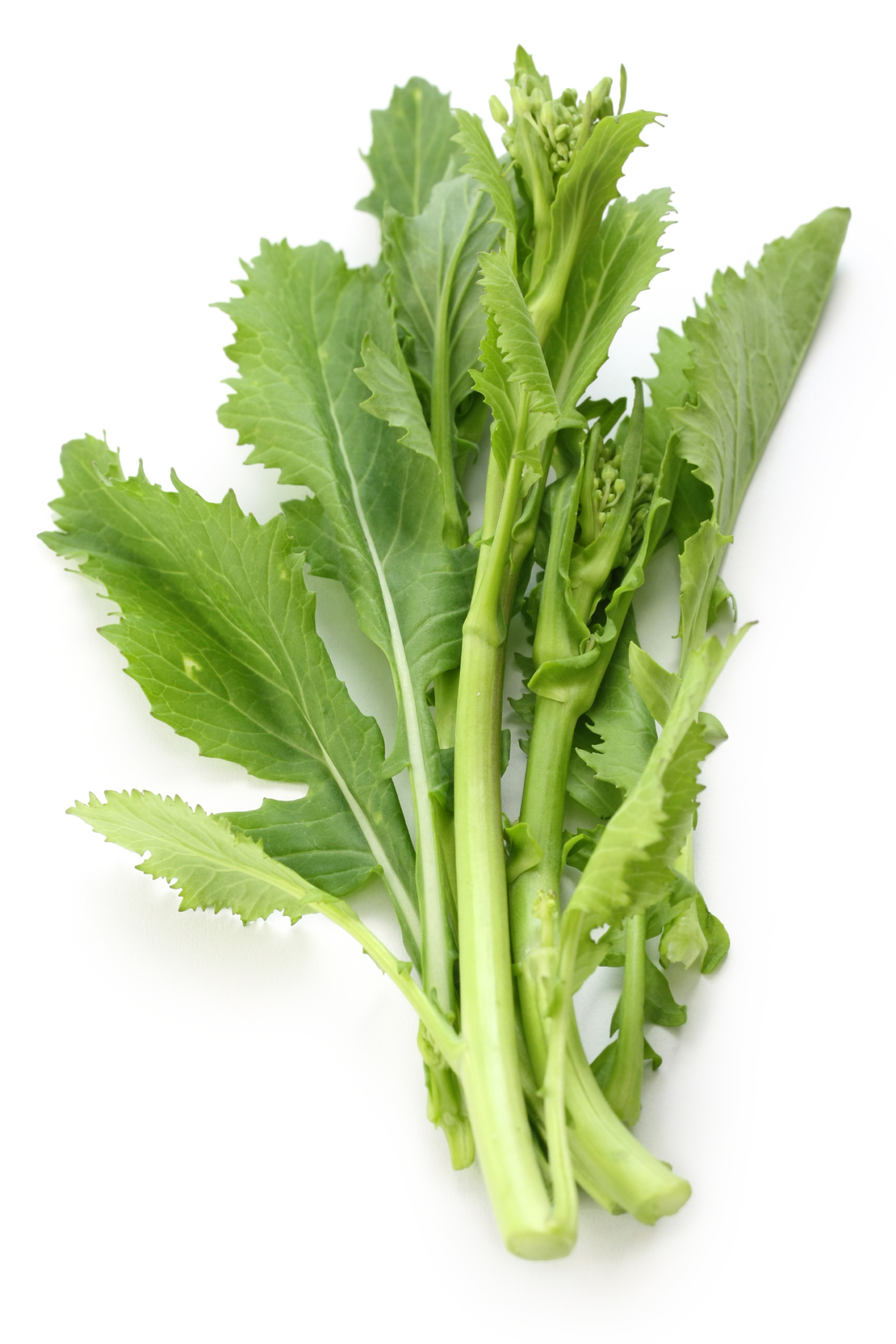 Vegetables - Little Bear Produce